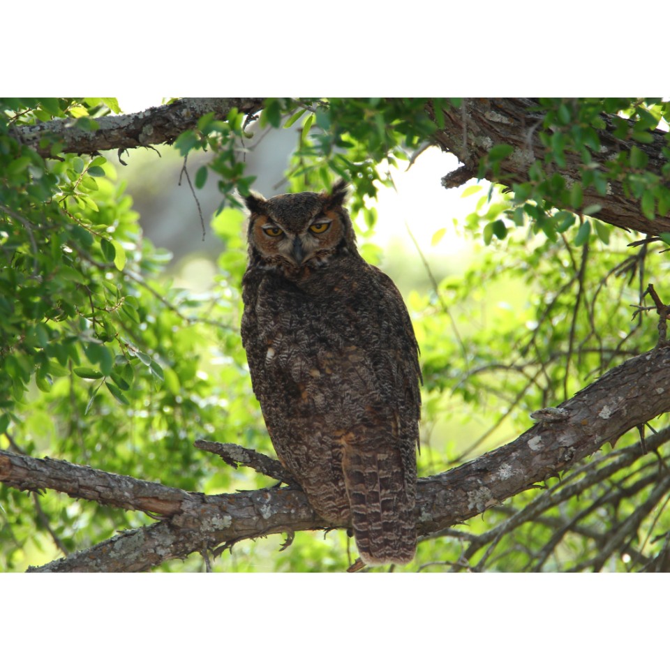 World Live Air Quality Map | IQAir